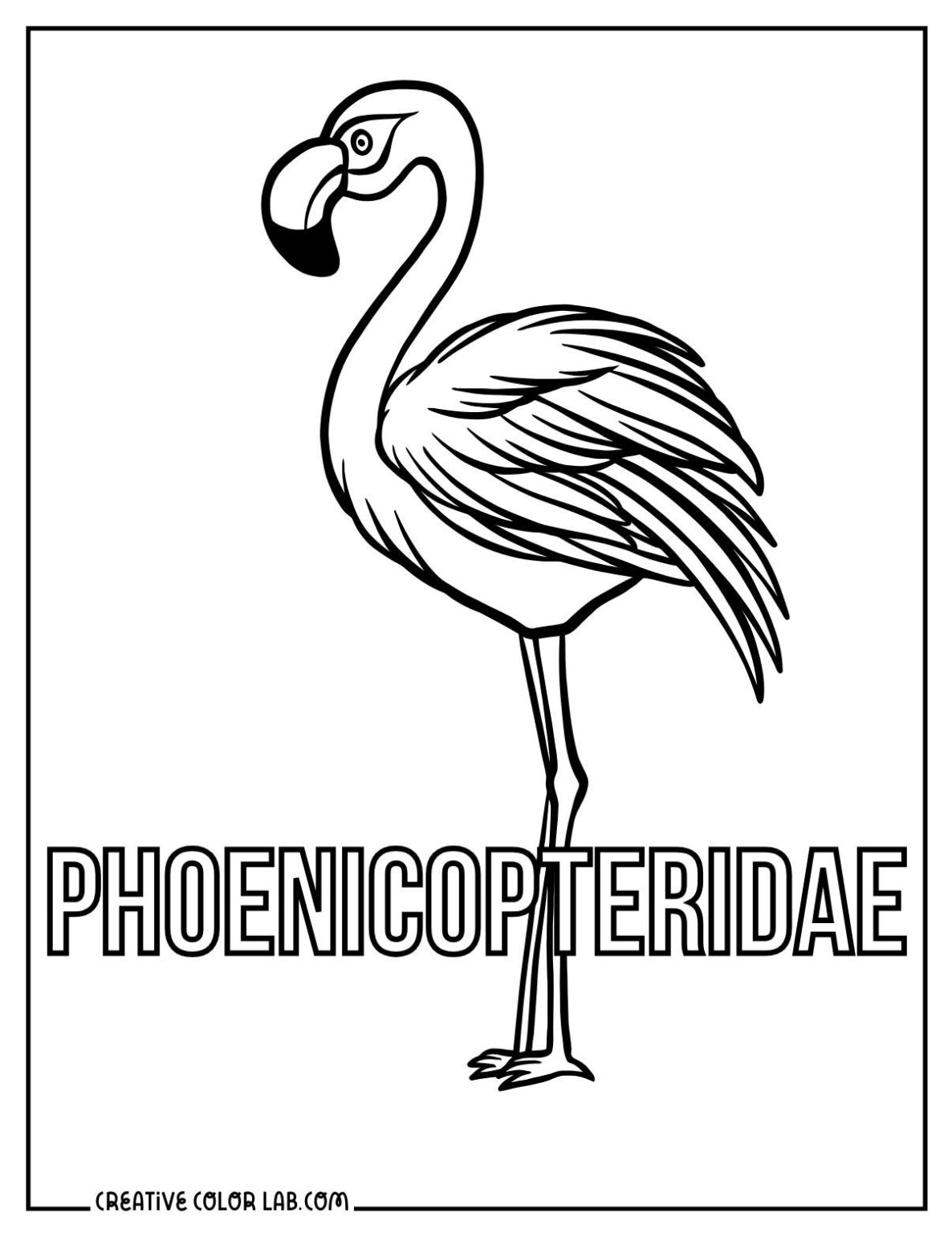 Free Flamingo Coloring Pages | Printable PDF Downloads