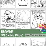 12 Beaver Coloring Pages | Free PDF Printables