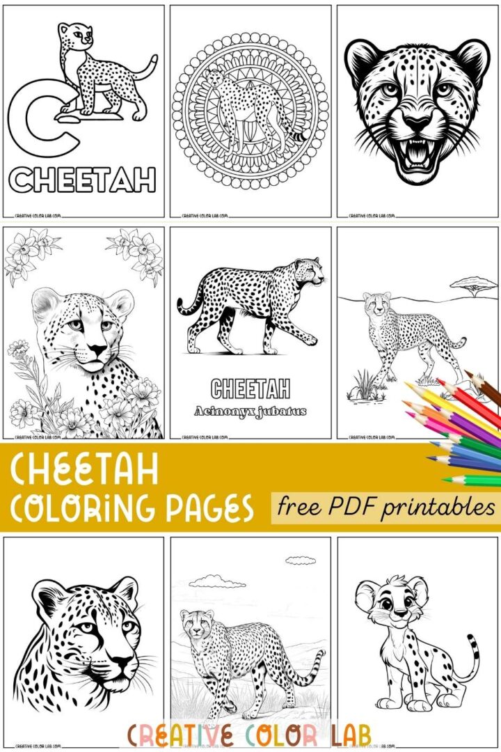 Cheetah Coloring Pages | Free, Printable PDFs