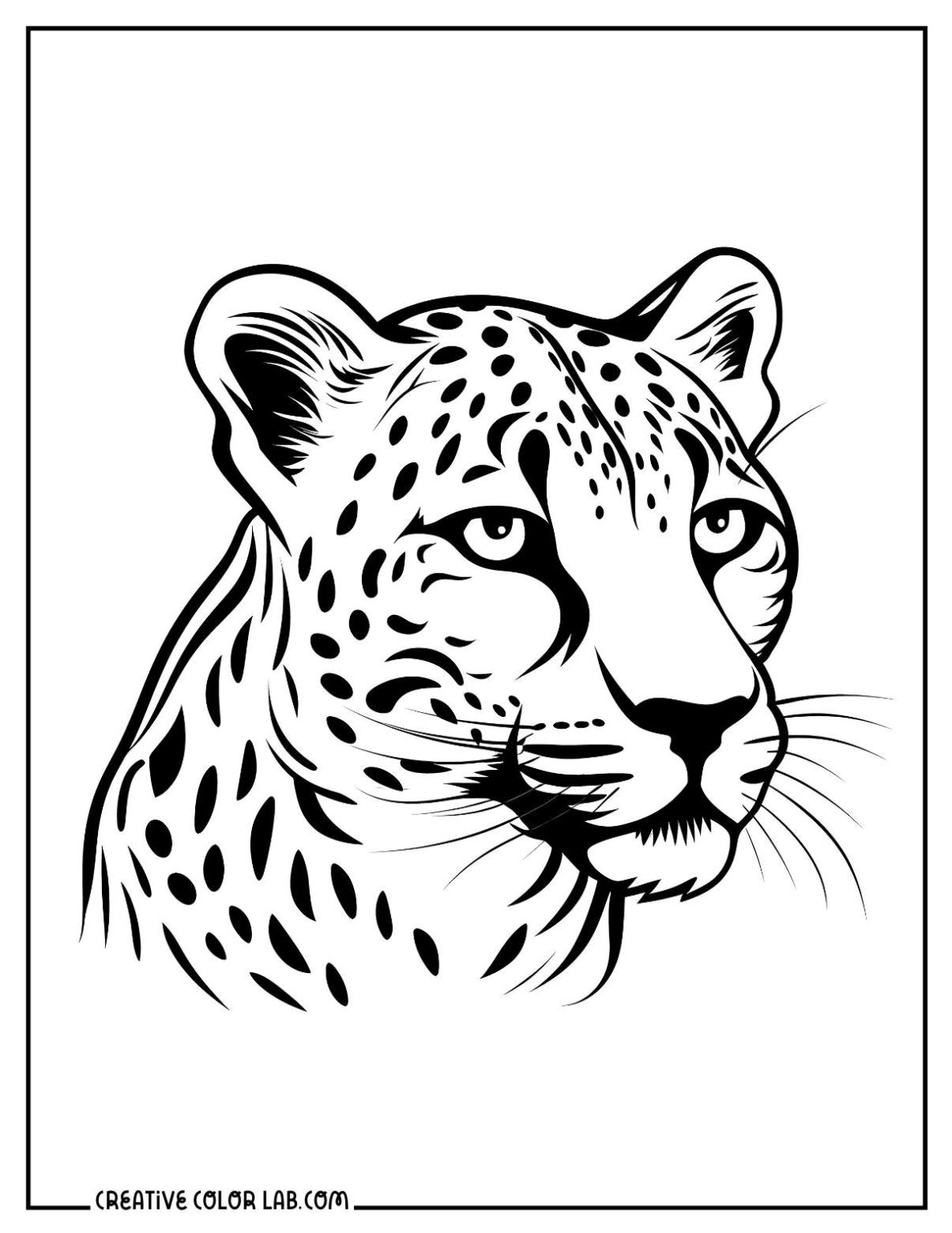 Cheetah Coloring Pages | Free, Printable PDFs