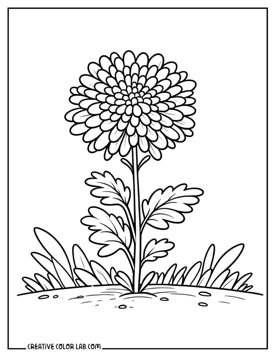 37 Flower Coloring Pages | Free PDF Printables