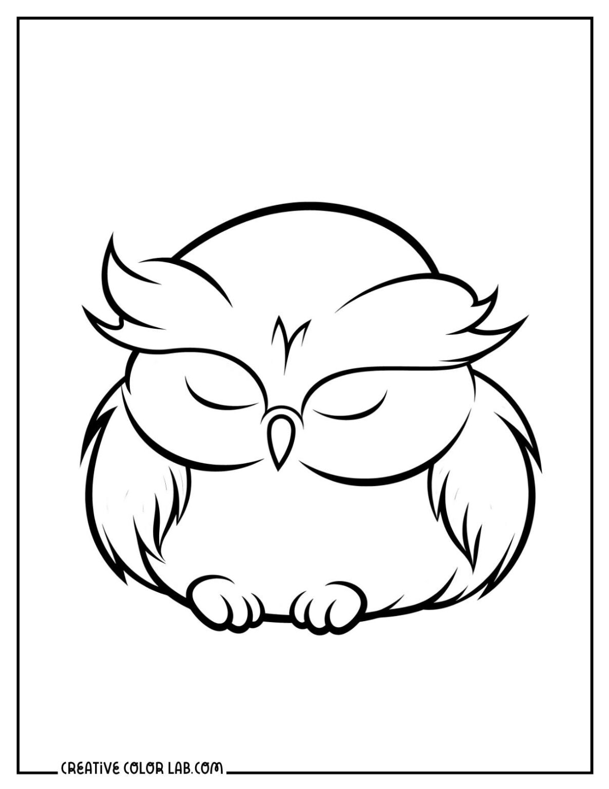 Printable Owl Coloring Pages | Free PDF Downloads