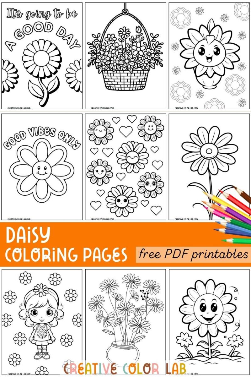 15 Printable Daisy Coloring Pages | Free PDF Downloads