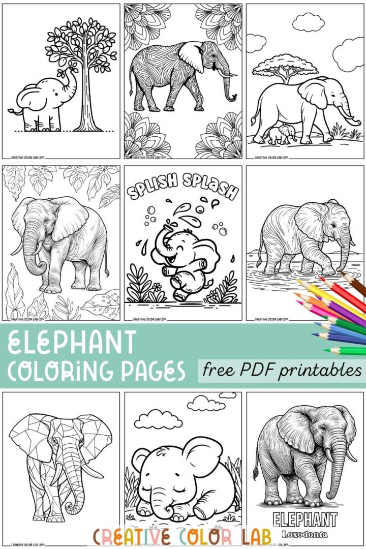 Printable Elephant Coloring Pages | Free PDFs to Download