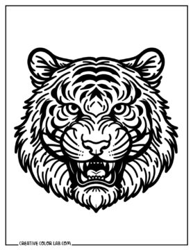 16 Tiger Coloring Pages | Free PDF Printables