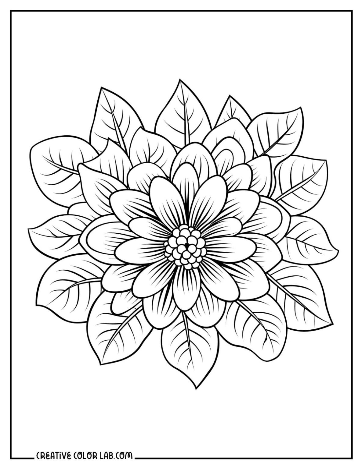 10 Hawaiian Tropical Flower Coloring Pages | Free PDF Printables