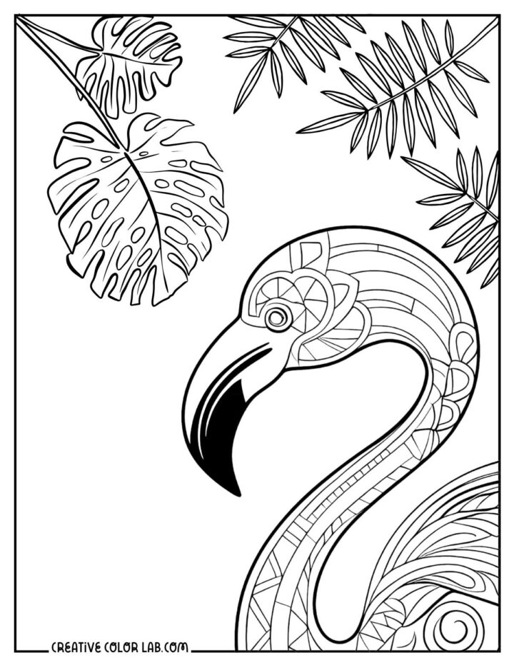 Free Flamingo Coloring Pages | Printable PDF Downloads