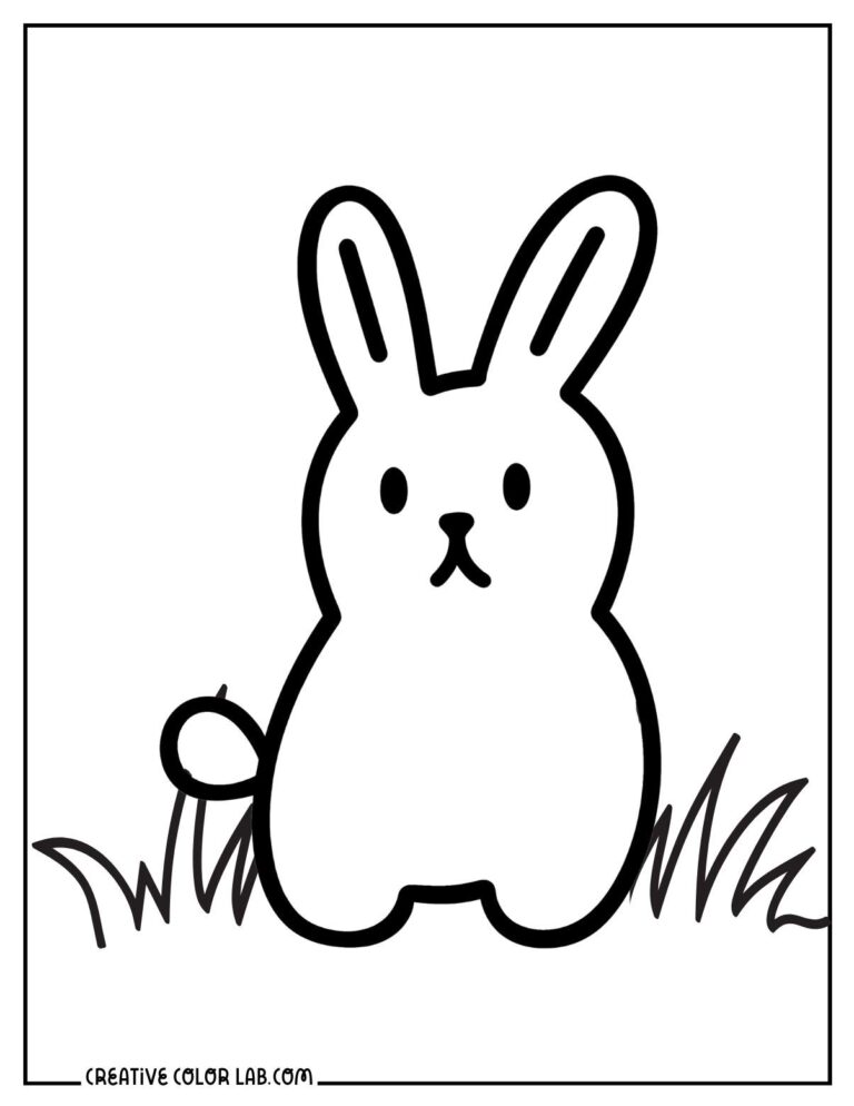 Bunny Rabbit Coloring Pages in PDF Format