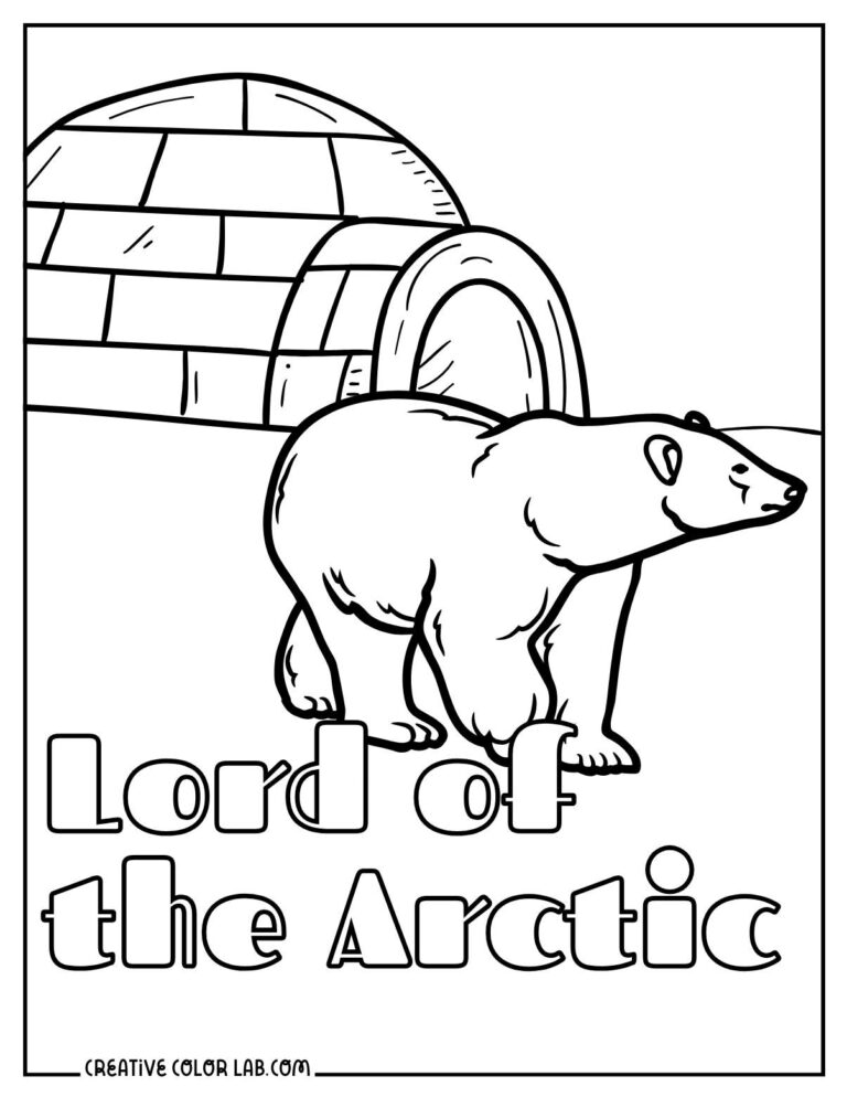 Free Polar Bear Coloring Pages | Printable PDFs