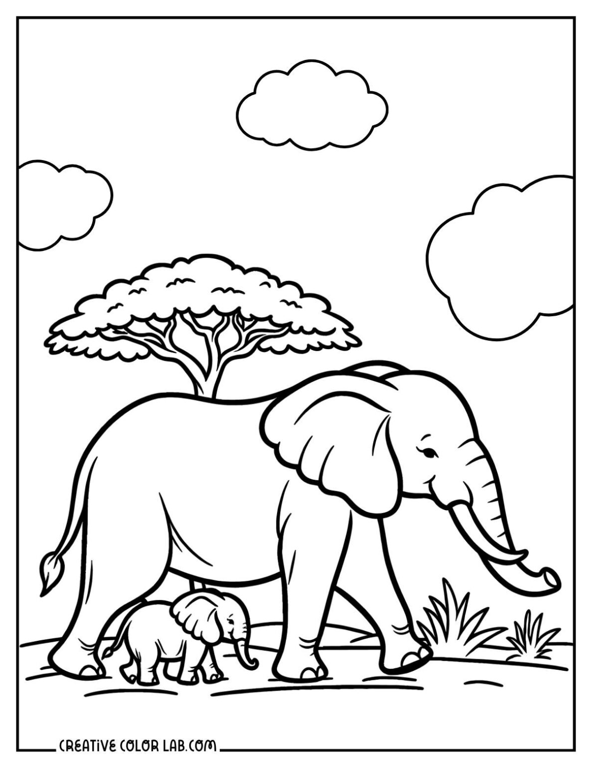 Printable Elephant Coloring Pages | Free PDFs to Download