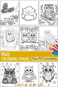 Printable Owl Coloring Pages | Free PDF Downloads