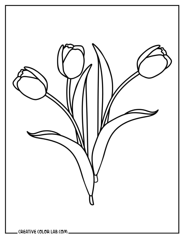13 Tulip Coloring Pages | Free PDF Printables