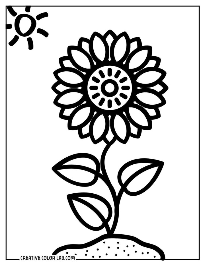 Free, Printable Sunflower Coloring Pages | PDF Downloads