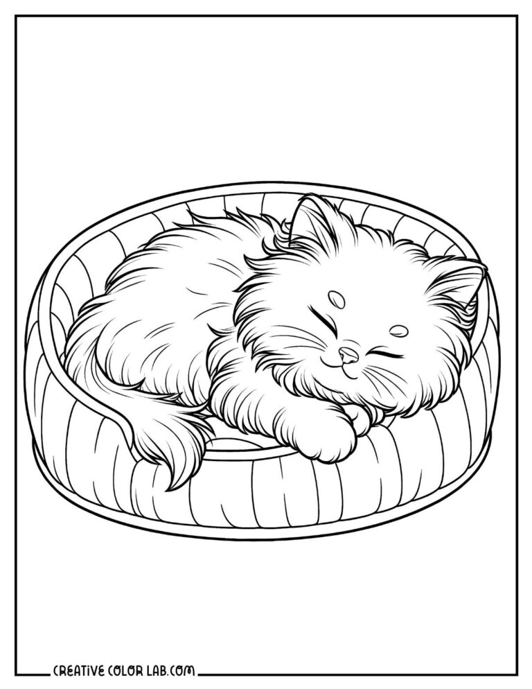 Free Kitten Coloring Pages | Printable PDFs