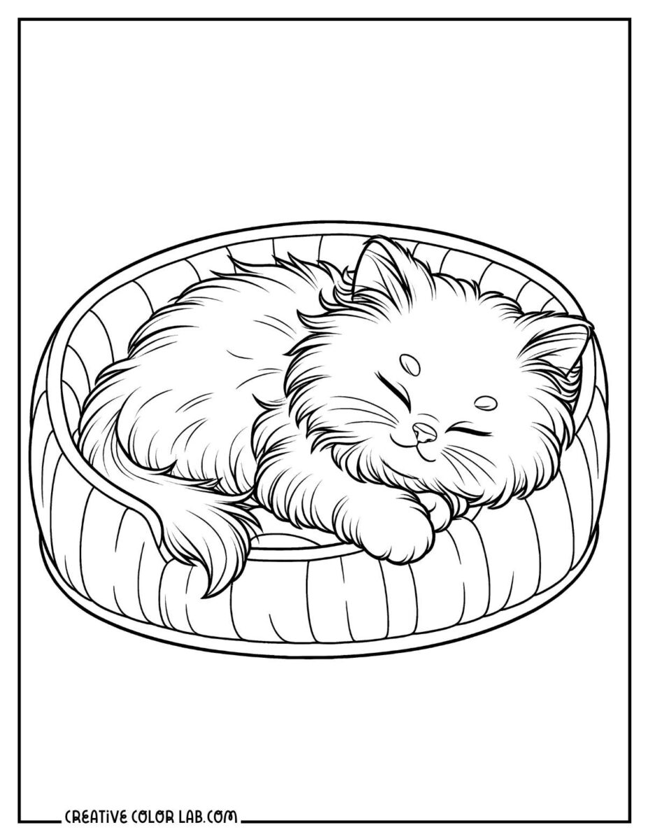 Free Kitten Coloring Pages | Printable PDFs