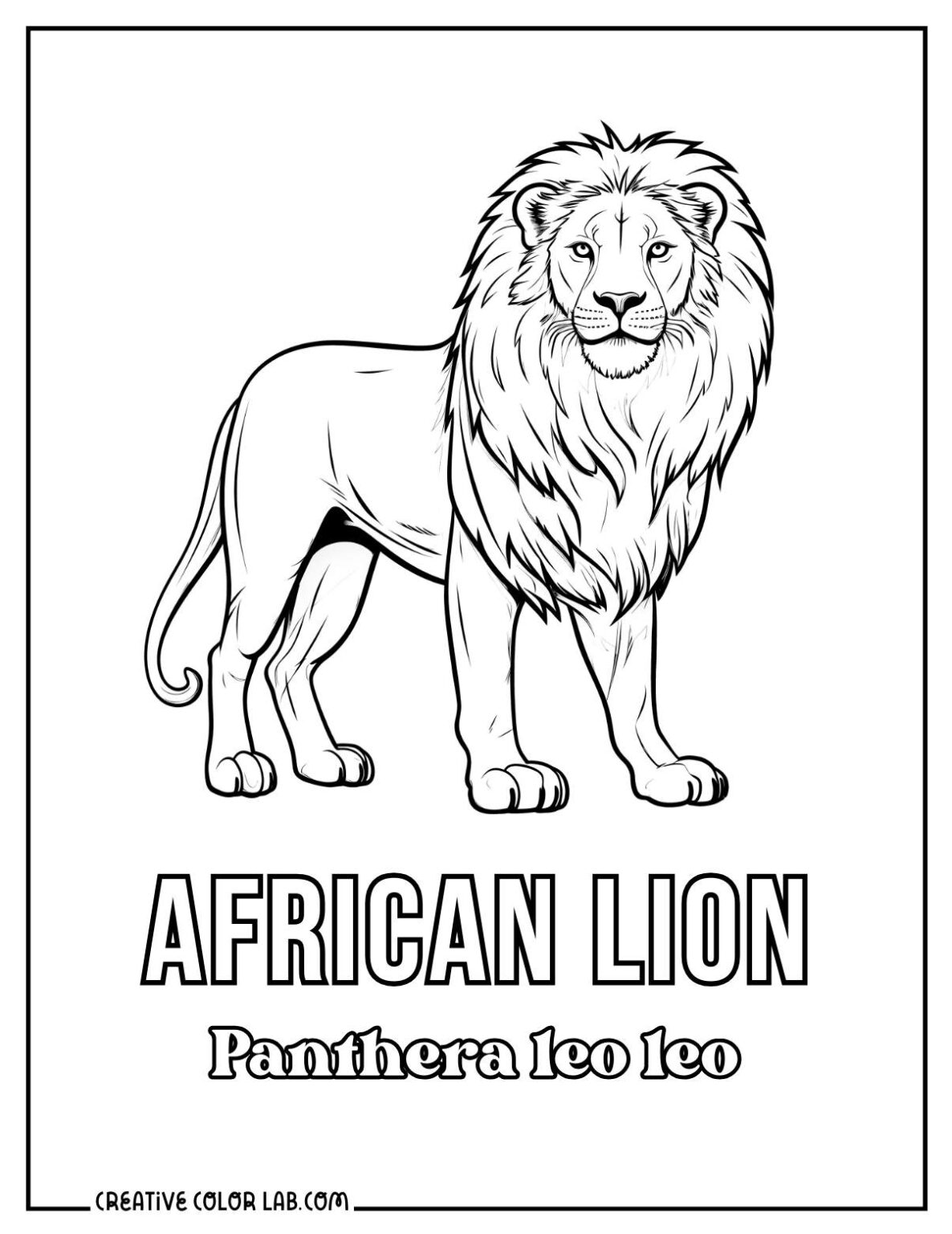 Free Lion Coloring Pages | Printable PDFs
