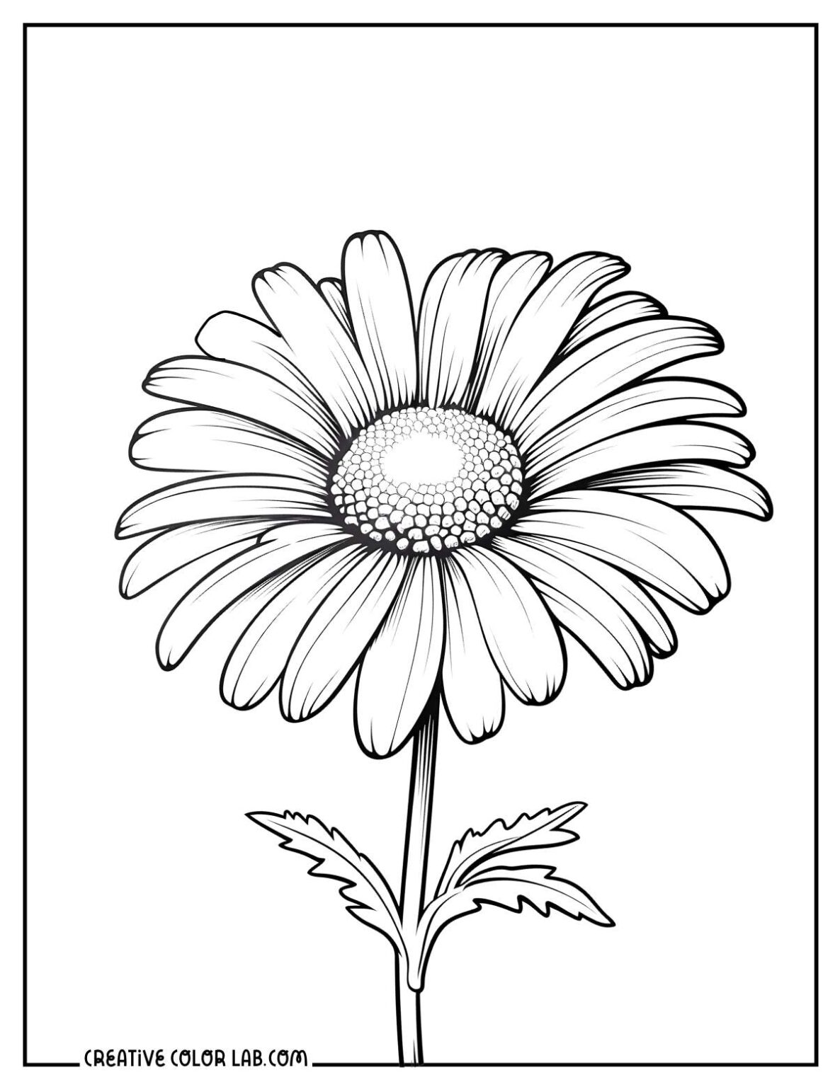 15 Printable Daisy Coloring Pages | Free PDF Downloads