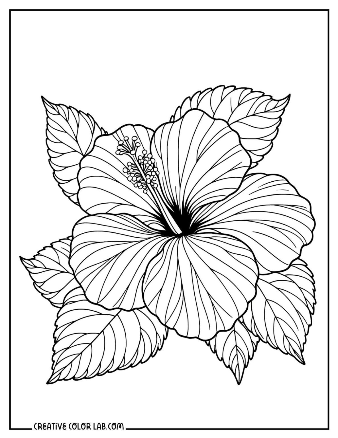 37 Flower Coloring Pages | Free, Printable PDFs