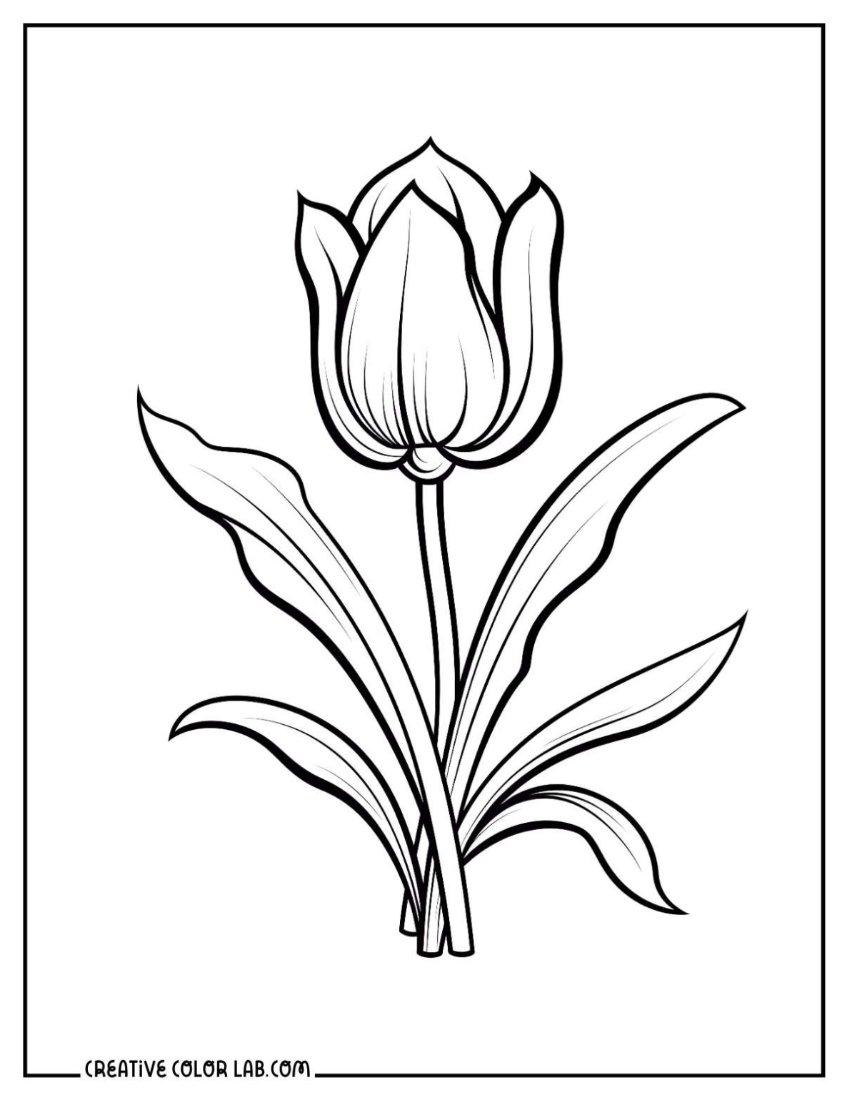 13 Tulip Coloring Pages | Free PDF Printables