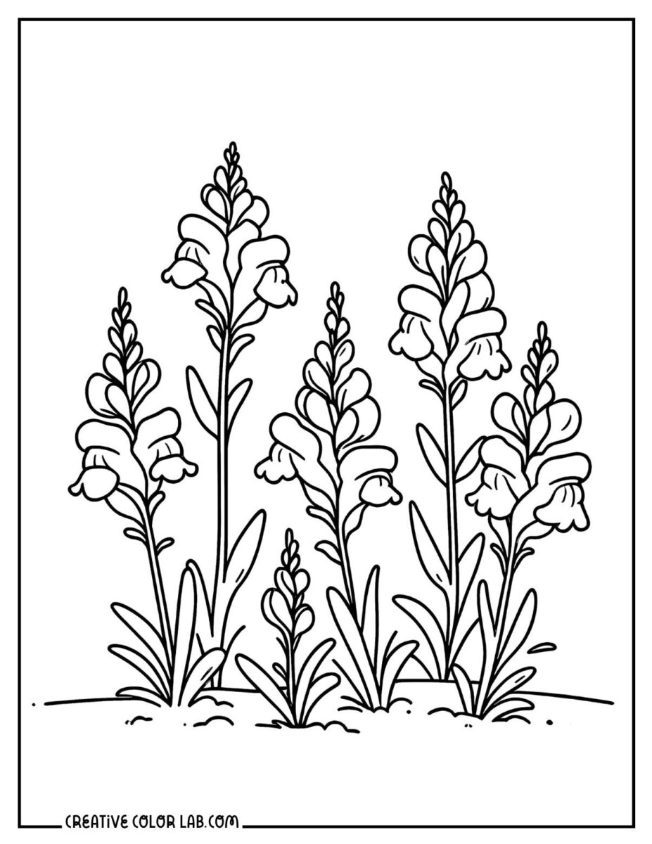 37 Flower Coloring Pages | Free, Printable PDFs