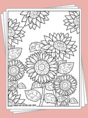 10 Rose and Heart Coloring Pages | Free PDF Printables