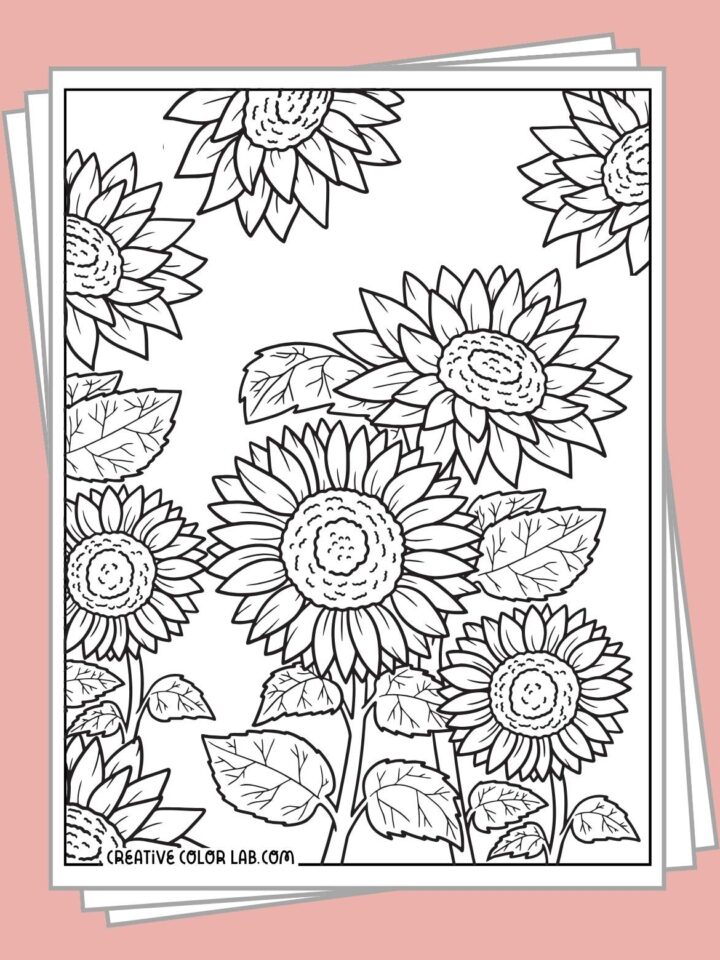 Coloring Pages for Kids & Adults | Free Printable PDFs