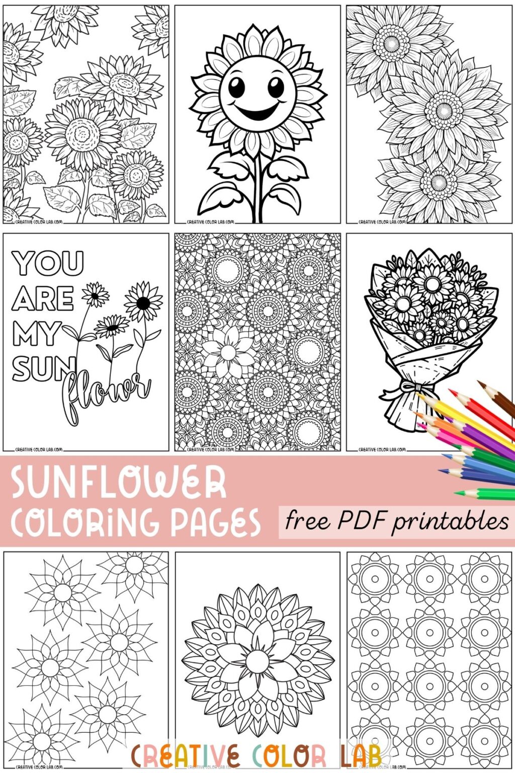 Free, Printable Sunflower Coloring Pages | PDF Downloads
