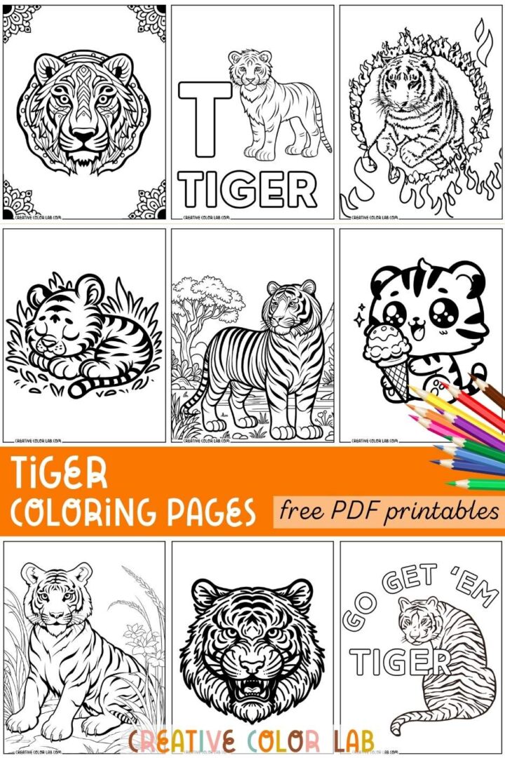 Tiger Coloring Pages | Free PDF Downloads