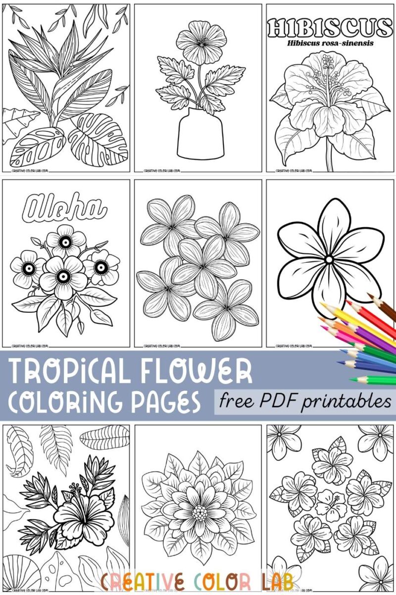 10 Hawaiian Tropical Flower Coloring Pages | Free PDF Printables