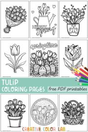 13 Tulip Coloring Pages | Free PDF Printables