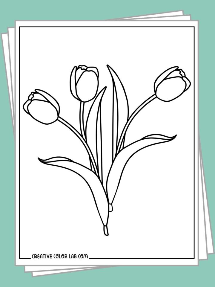 10 Hawaiian Tropical Flower Coloring Pages | Free PDF Printables