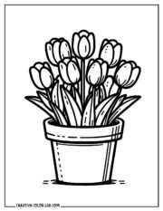 13 Tulip Coloring Pages | Free PDF Printables