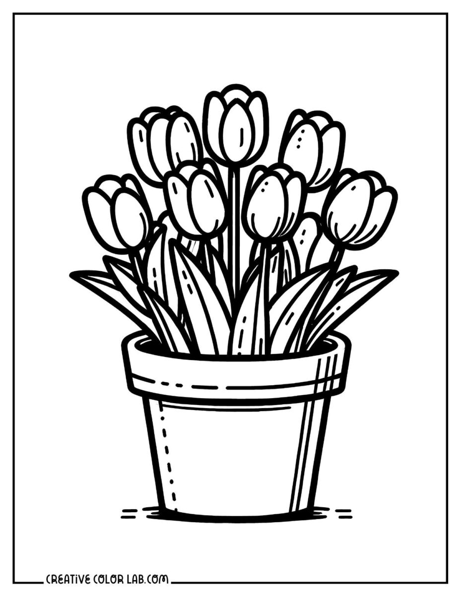 13 Tulip Coloring Pages | Free PDF Printables
