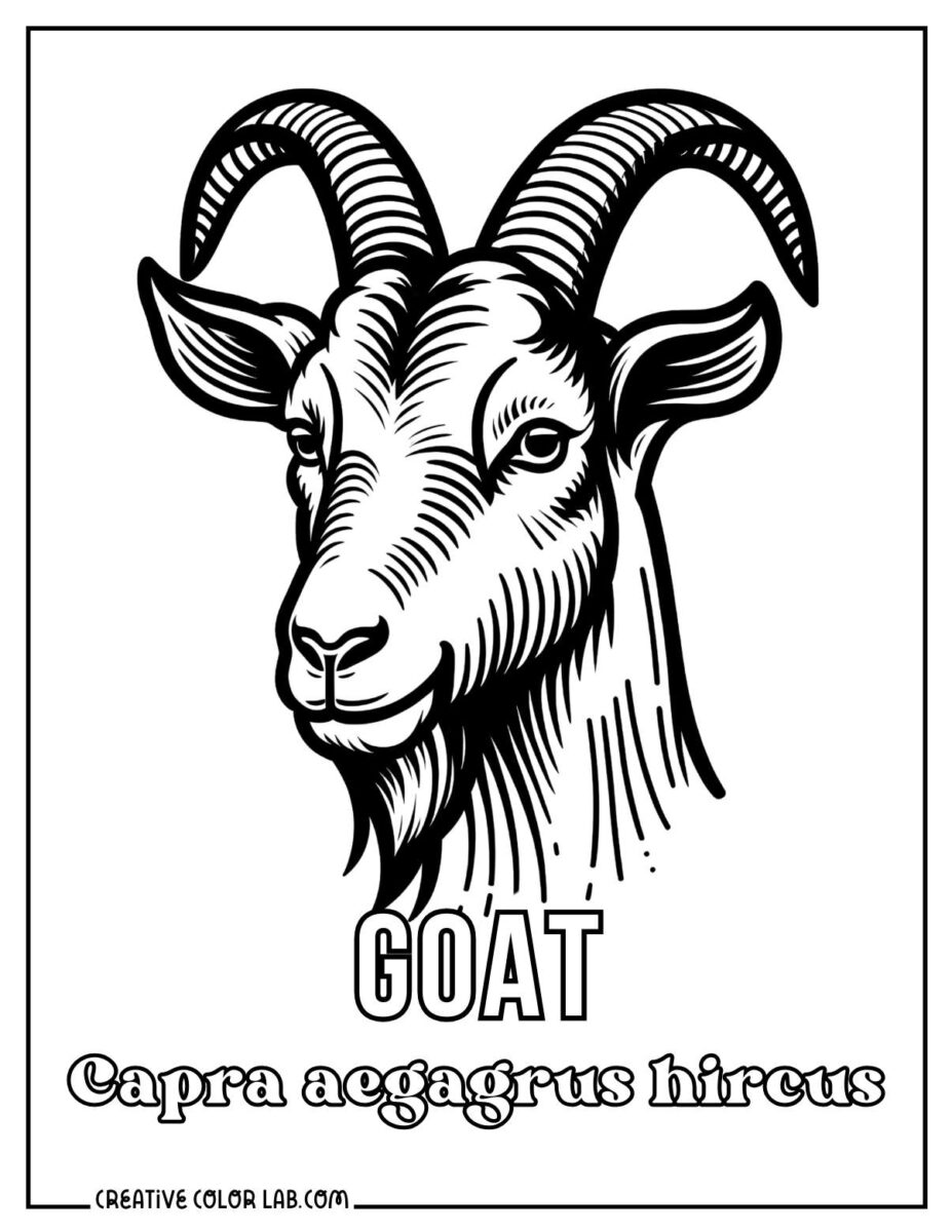 Printable Goat Coloring Pages | Free PDF Downloads