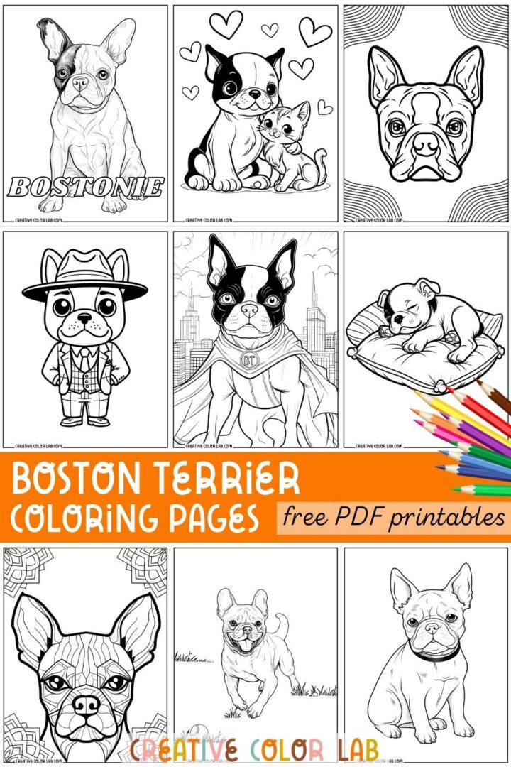 Boston Terrier Coloring Pages | Free, Printable PDFs