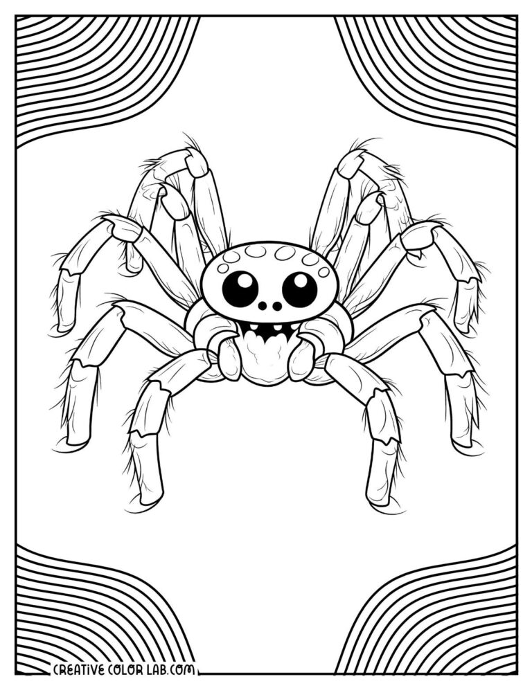 Free, Printable Tarantula Coloring Pages