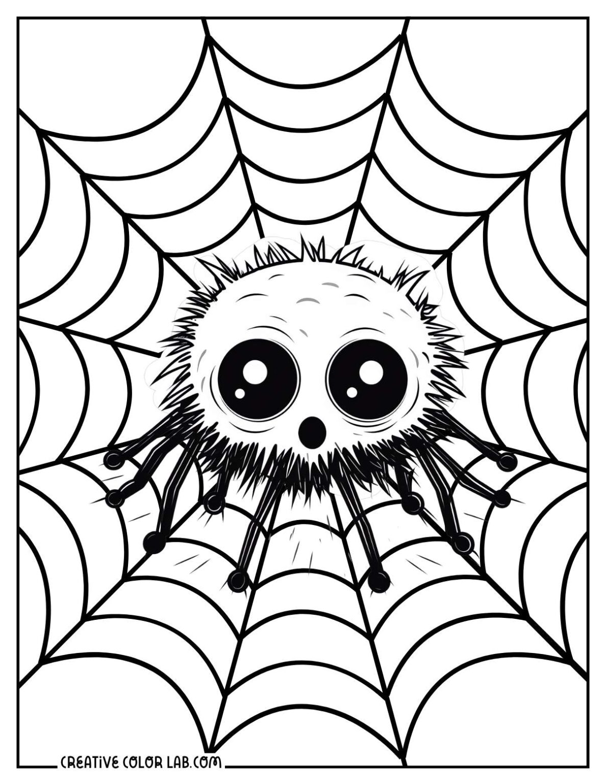 Free, Printable Tarantula Coloring Pages