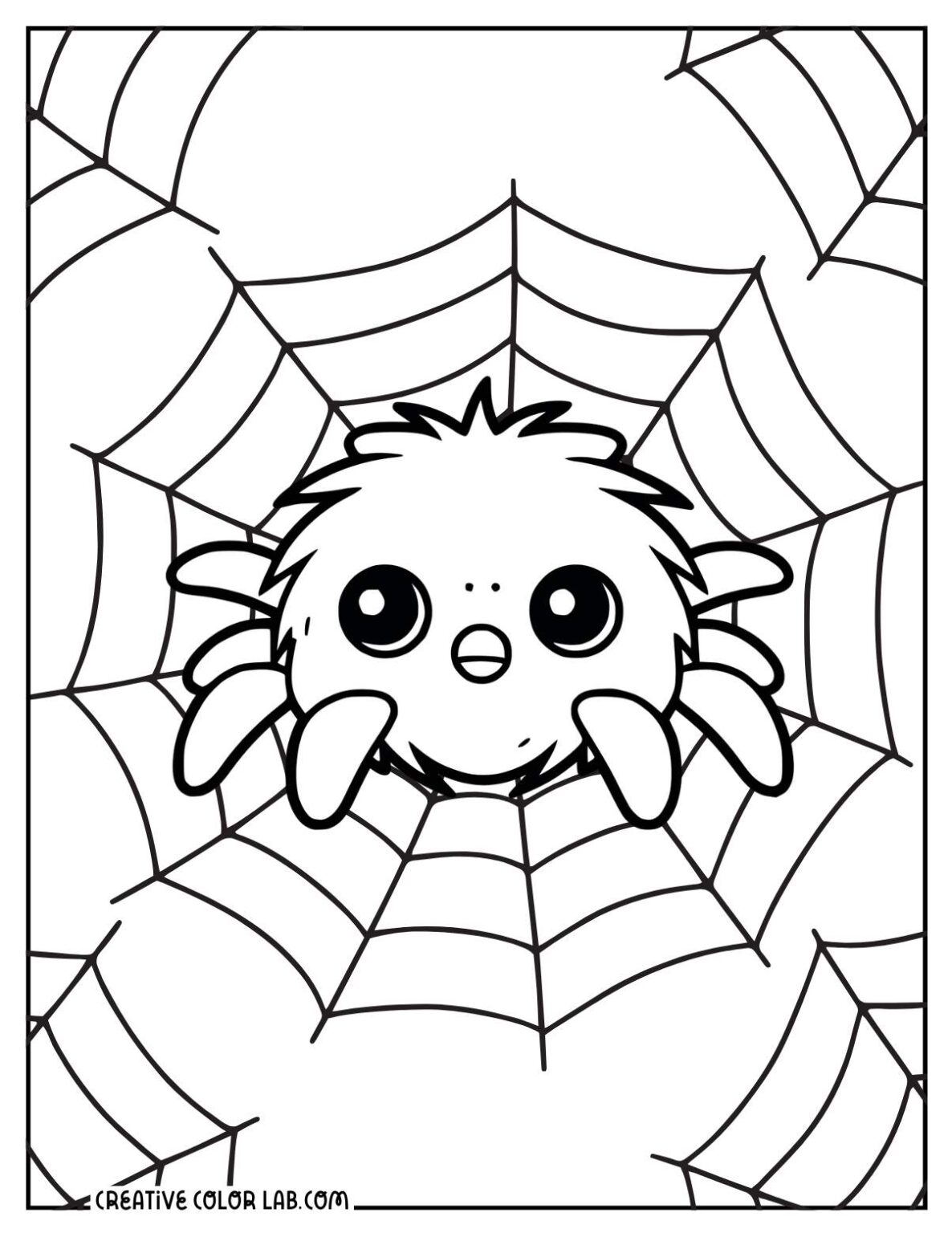 Free, Printable Tarantula Coloring Pages