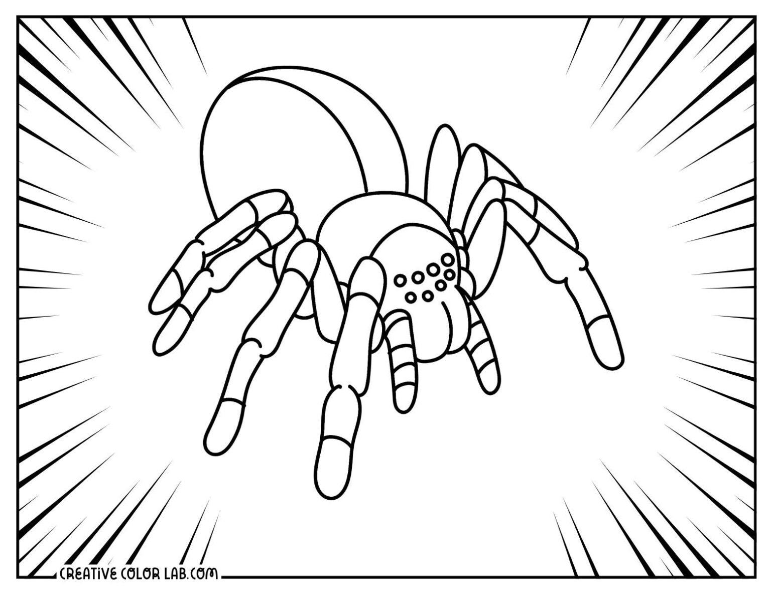 Free, Printable Tarantula Coloring Pages