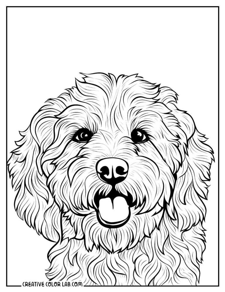 13 Goldendoodle Coloring Pages Free Pdf Printables