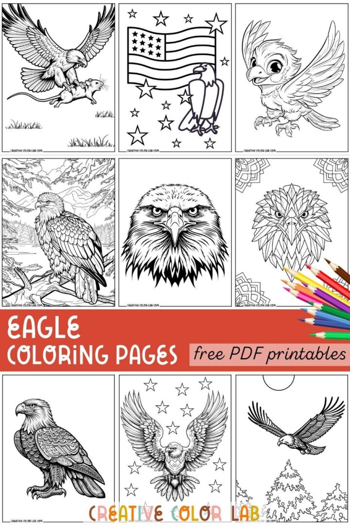 10 Eagle Coloring Pages | Free PDF Printables