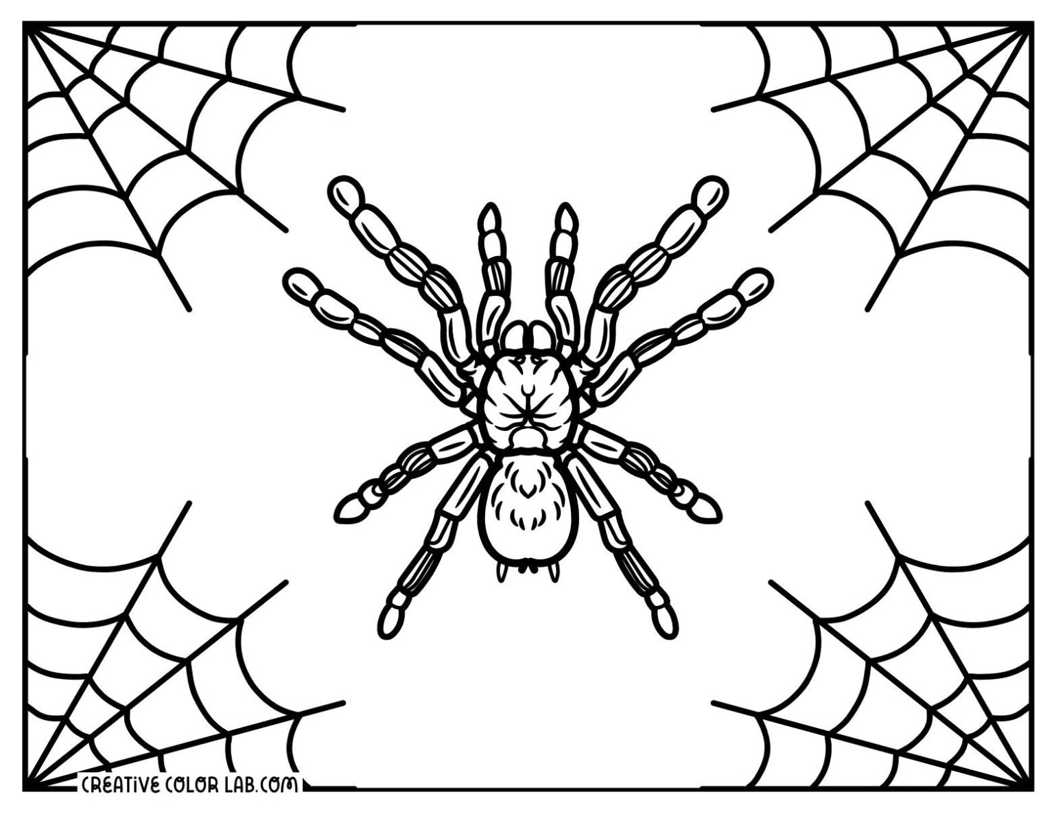 Free, Printable Tarantula Coloring Pages
