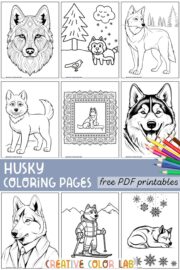 Free Husky Coloring Pages | Printable PDFs