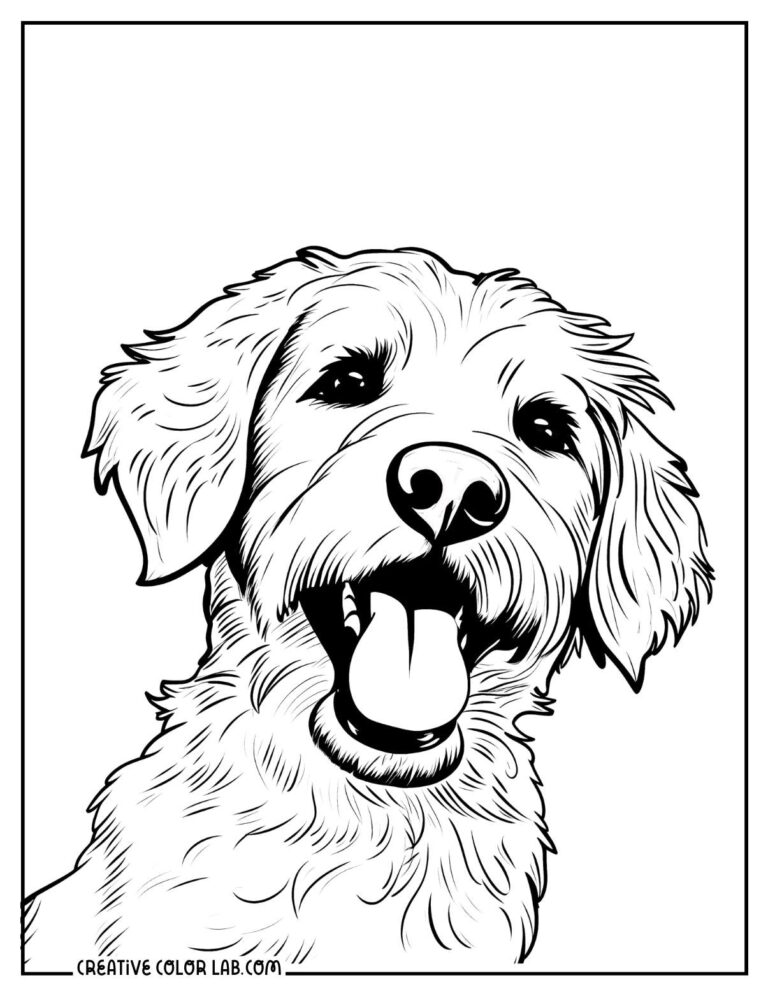 Printable Goldendoodle Coloring Pages | Free PDF Downloads