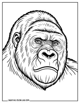 Free, Printable Gorilla Coloring Pages