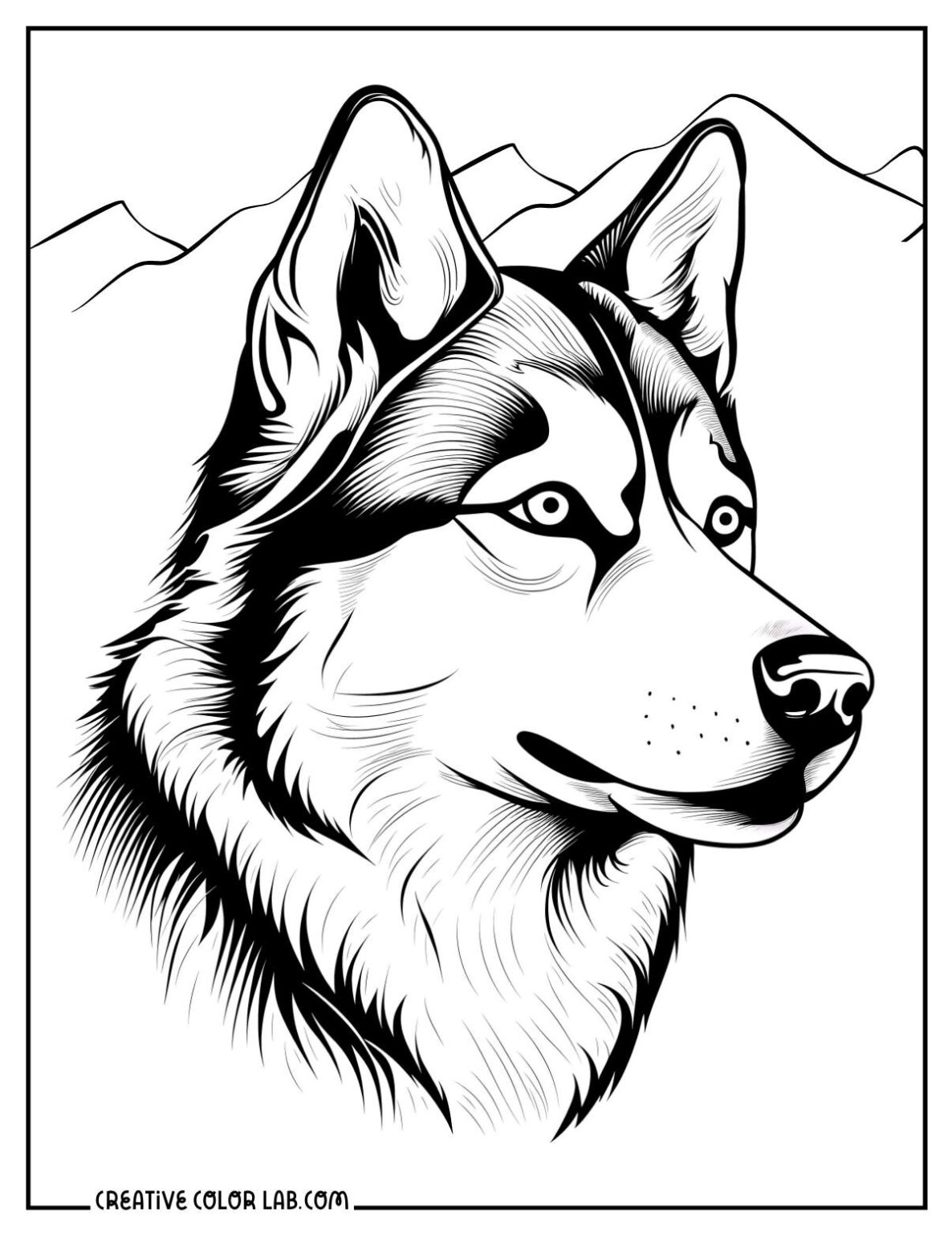 Free Husky Coloring Pages | Printable PDFs