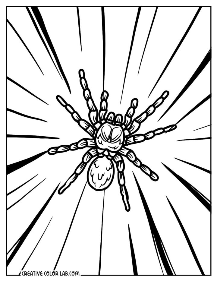 Free, Printable Tarantula Coloring Pages