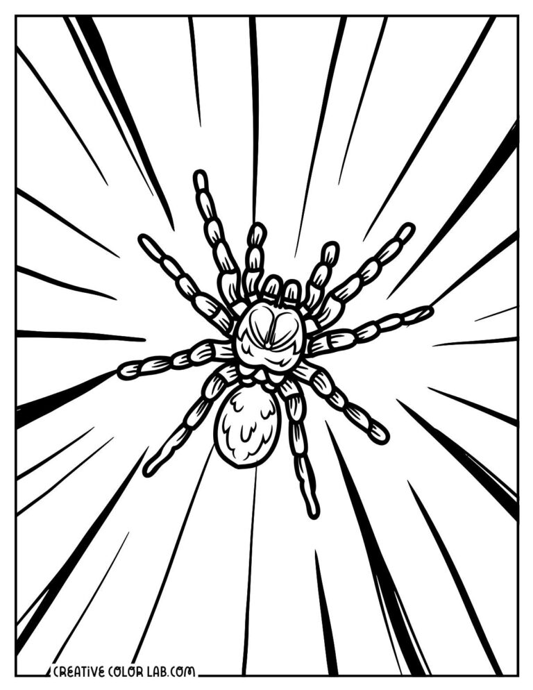 Free, Printable Tarantula Coloring Pages