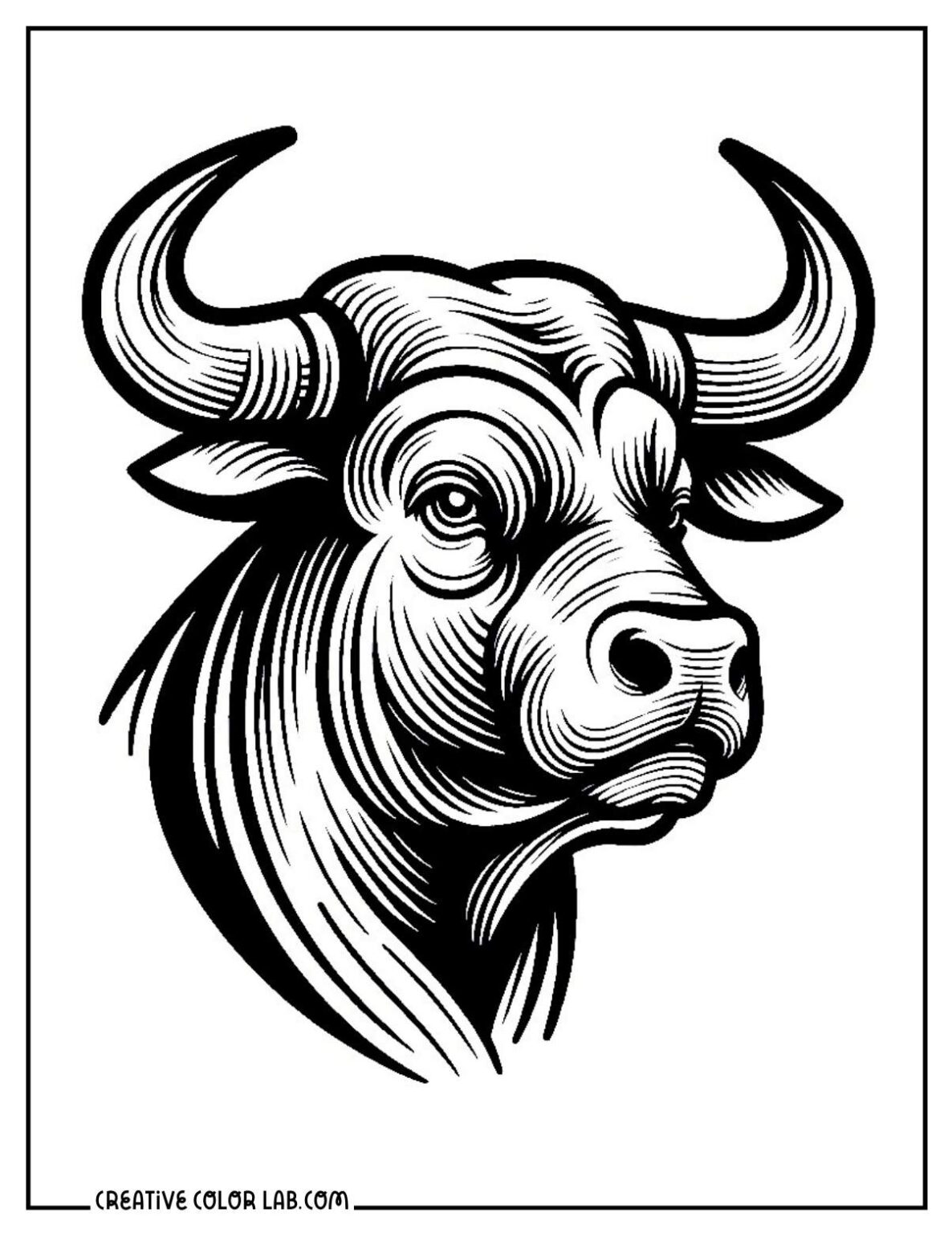 Free, Printable Cow Coloring Pages
