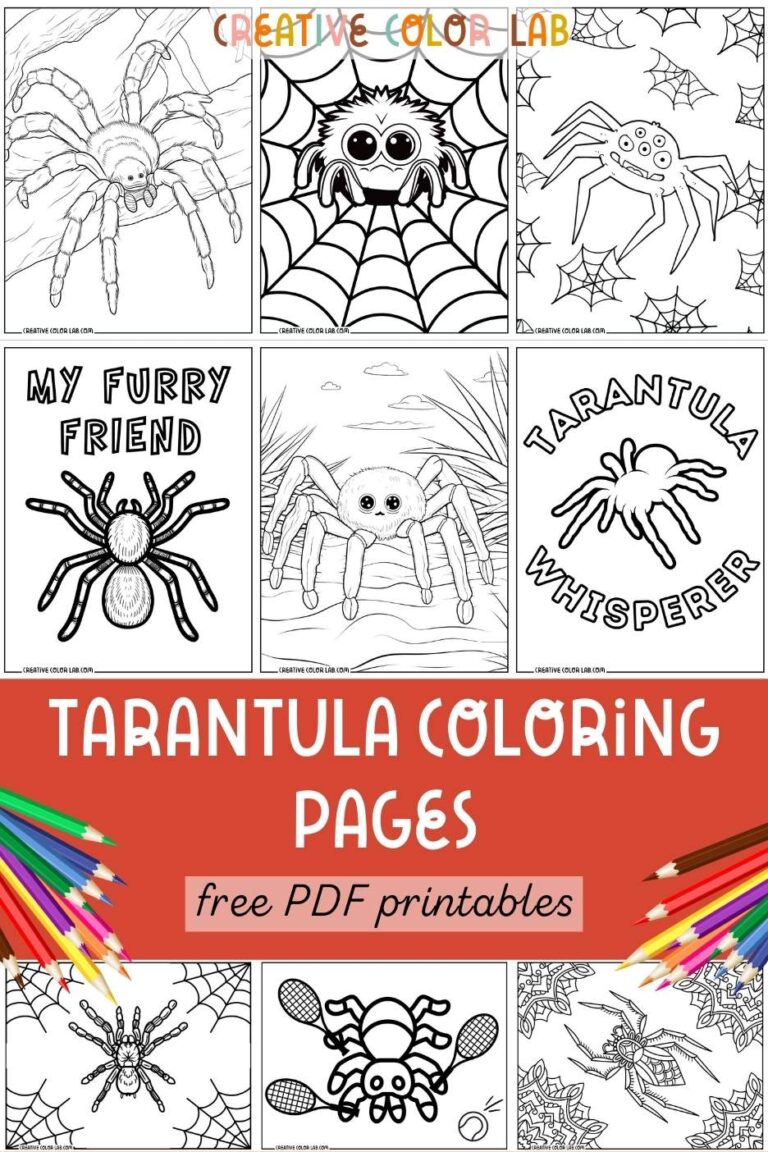Free, Printable Tarantula Coloring Pages